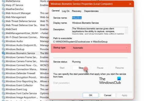 Your device is having trouble recognizing you error in Windows 11