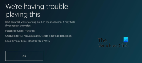 Hulu Error Code P-DEV313 and P-DEV322 [Fix]