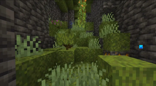 How to get Moss in Minecraft
