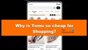 Why is Temu so cheap for Shopping?