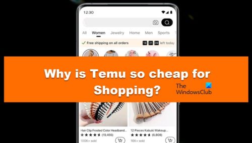 Why is Temu so cheap for Shopping?