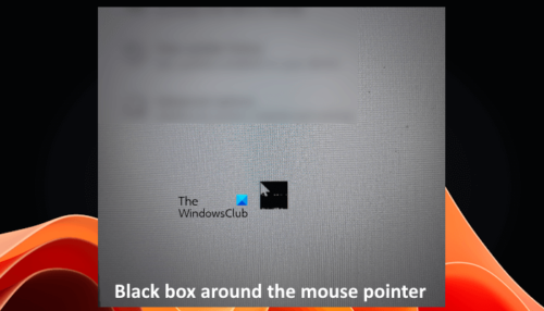 Black Box around the Mouse Pointer on Windows 11/10