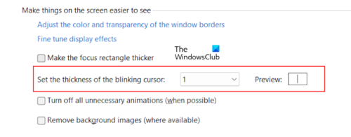 Black Box around the Mouse Pointer on Windows 11/10