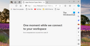 Error code 25 when connecting to Edge Workspace [Fix]