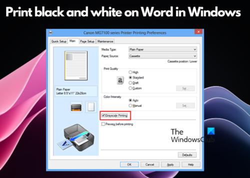How to print Black and White in Word on Windows 11