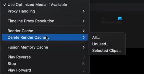 Davinci Resolve Media Offline, but audio plays