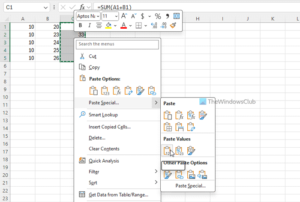 How to remove Formula in Excel and keep Text