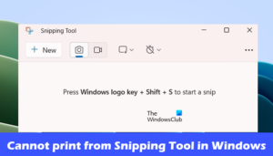 Cannot print from Snipping Tool in Windows 11/10