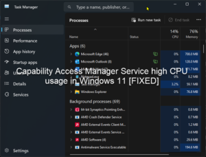 Capability Access Manager Service high CPU usage in Windows 11