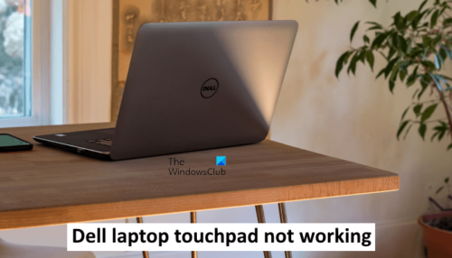 Dell laptop Touchpad not working [Fix]