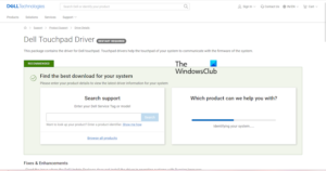 Dell laptop Touchpad not working [Fix]