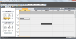 How to open SDR files on Windows PC