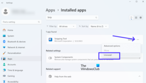 Snipping Tool screen recorder No sound problem in Windows 11