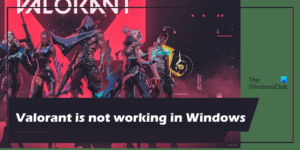 Valorant is not working in Windows 11 [Fix]