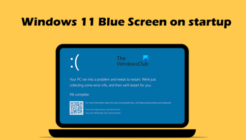 Windows 11 Blue Screen on Startup [Fix]