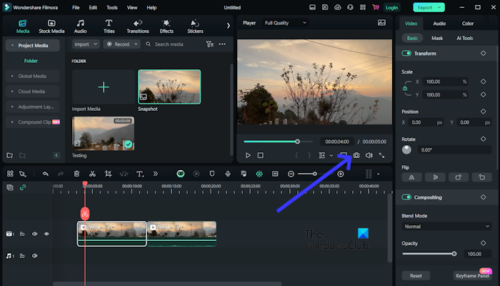 How to take Pictures from Video on computer