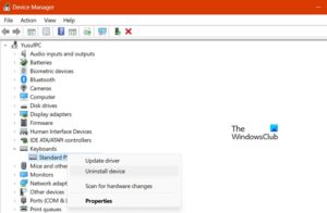 F5 Refresh key not working in Windows 11