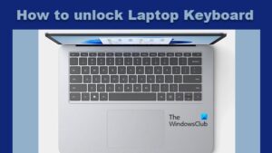 Laptop Keyboard is locked; How to unlock a Locked Keyboard