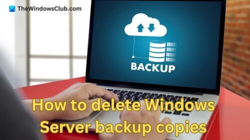How to delete Windows Server Backup Copies