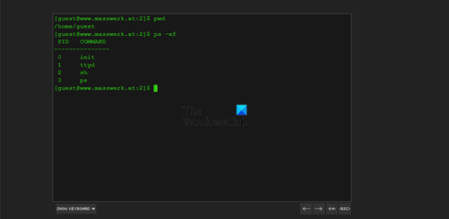 Best Linux Simulator Online Free