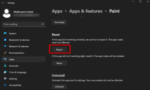 MS Paint not working in Windows 11/10