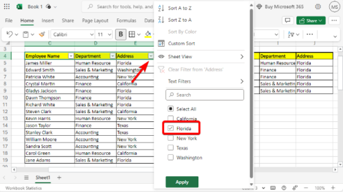 How to use Excel FILTER Function with multiple criteria