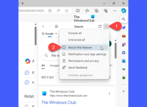 How to use multiple Search Engines at same time in Edge