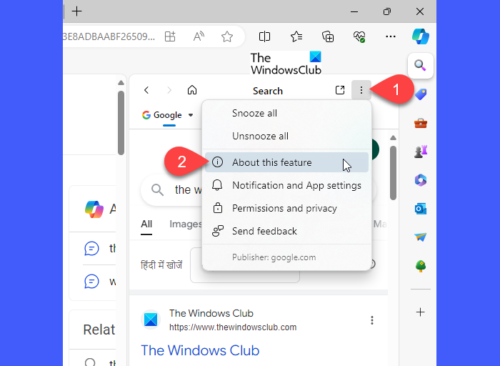 How to use multiple Search Engines at same time in Edge