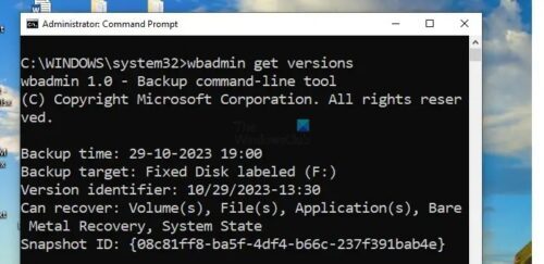 How to delete Windows Server Backup Copies