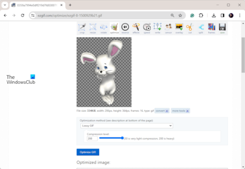 Discord Cannot resize GIF error [Fix]