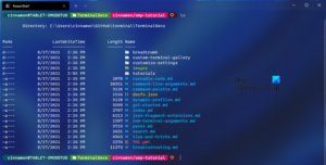 Best Windows Terminal Themes to make command-line exciting