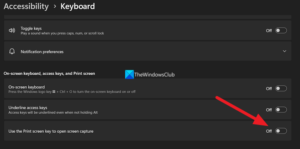 Lightshot not working on Windows 11 [Fix]