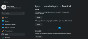 Windows Terminal Unable to find the selected font