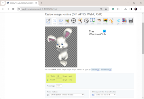 Discord Cannot resize GIF error [Fix]