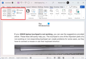 Word document is opening blank on Windows 11/10