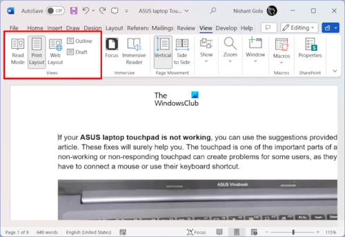 Word document is opening blank on Windows 11/10