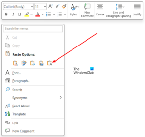 Word document is opening blank on Windows 11/10