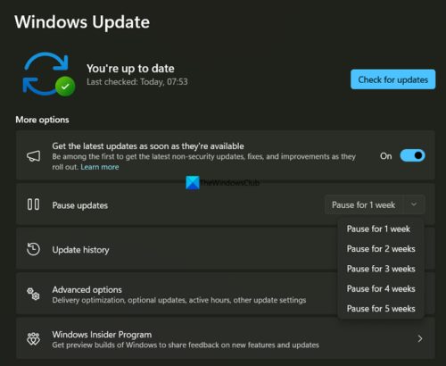 Why my laptop is using too much data in Windows 11