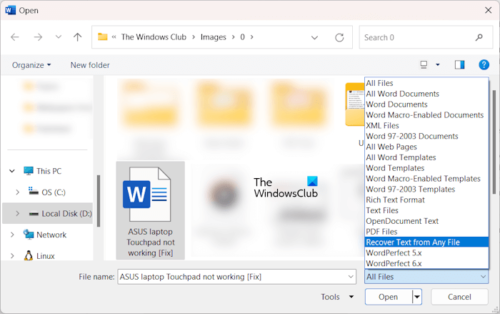 Word document is opening blank on Windows 11/10