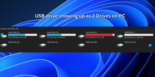 USB drive showing up as 2 Drives on PC [Fix]