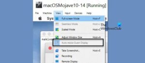 VirtualBox resize screen greyed out [Fix]