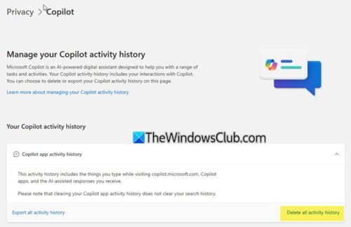 How to clear Copilot Chat AI search history