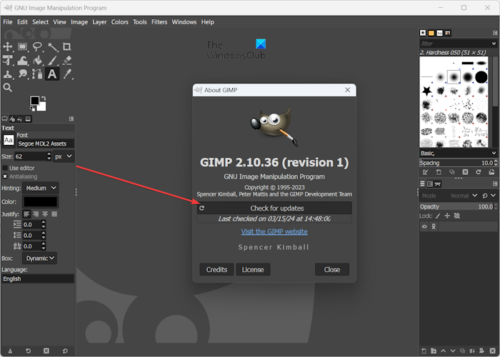 Why does GIMP take so long to open on my PC?