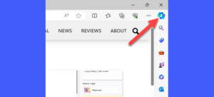 Use Copilot to get answers from particular websites