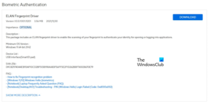 Windows Hello Something went wrong, Try again later [Fix]