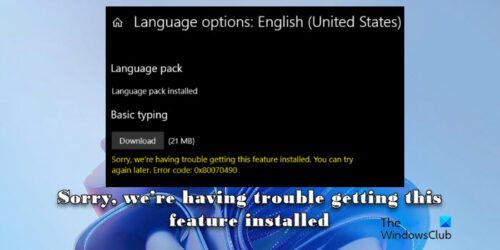 Cannot install Language Pack in Windows 11