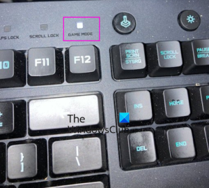 Windows key not working in game in Windows 11
