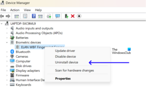 Windows Hello Something went wrong, Try again later [Fix]