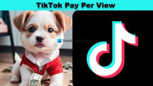 How to download Tik Tok app for Windows 10 PC