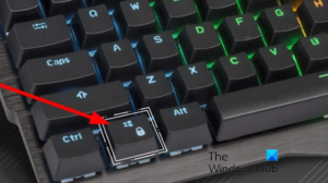 Windows key not working in game in Windows 11